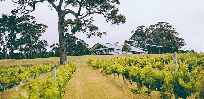 High Quality of the Denmark Wine Region Western Australia - Visit Australia