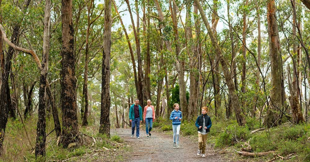See Australia’s Native Wildlife at Cleland Conservation Park - Visit ...