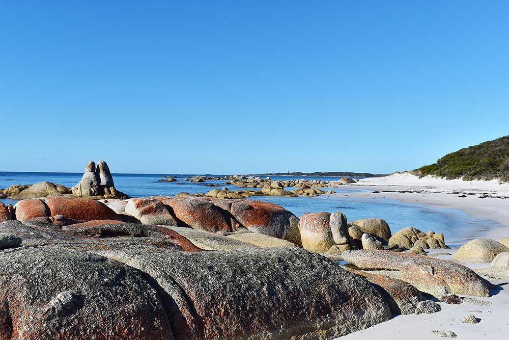 Unique Features of Mount William National Park - Visit Australia